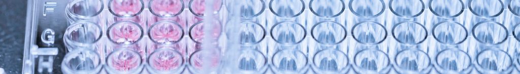 testing | ARMO Diagnostics